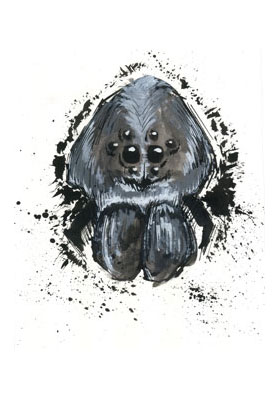 American Sphinx | Are you ready?